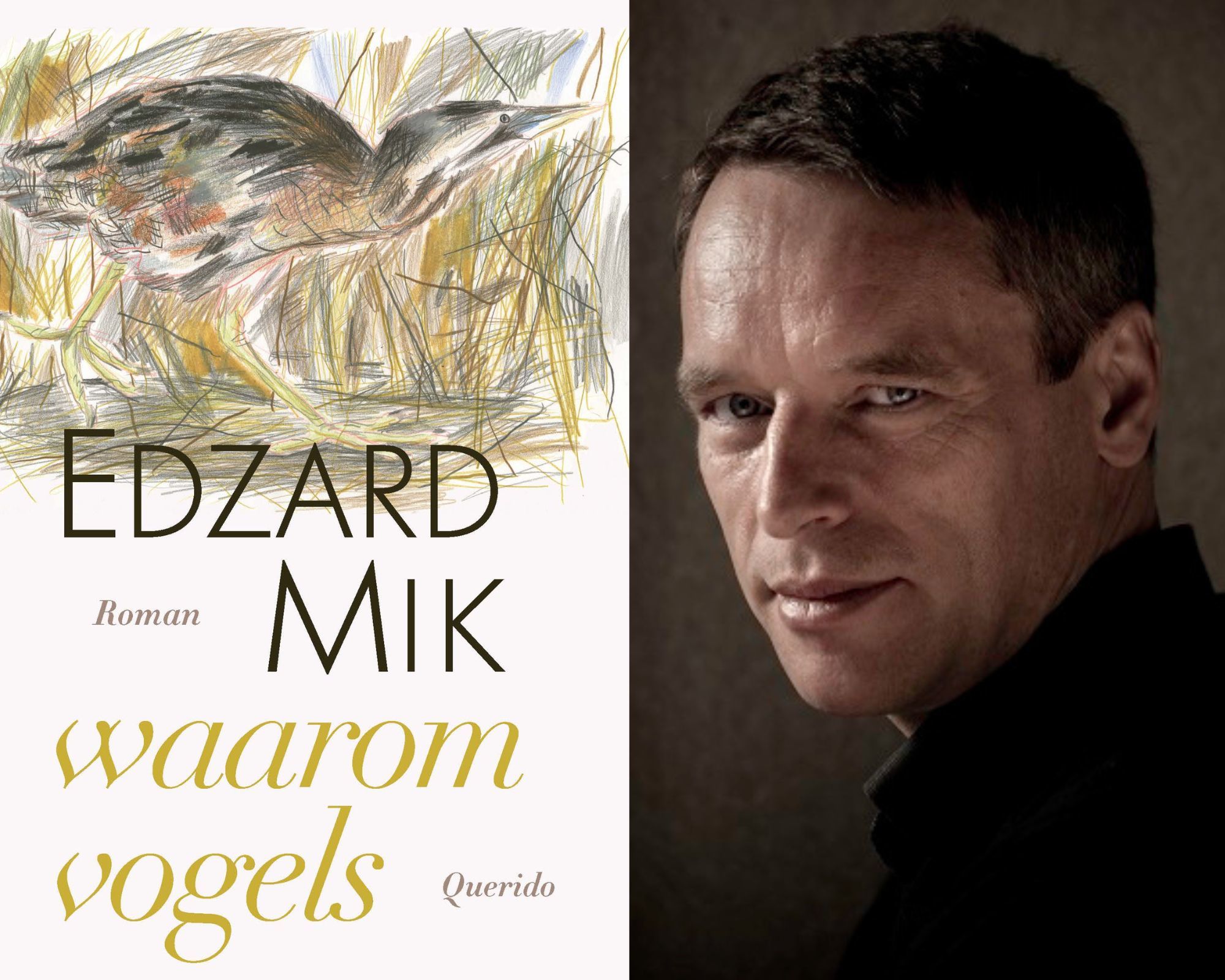 de lage landen In ‘waarom vogels’ laat Edzard Mik de lezer verdwalen in ...