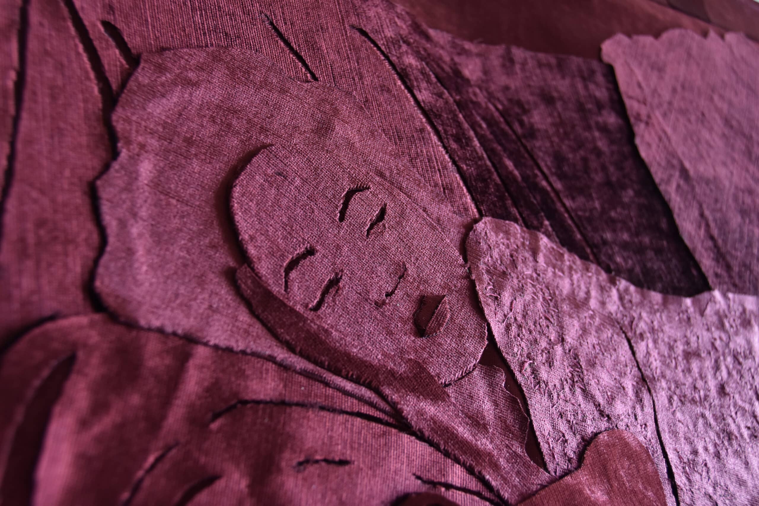 de lage landen Joyce Overheul toont de veerkracht van de underdog - de ...