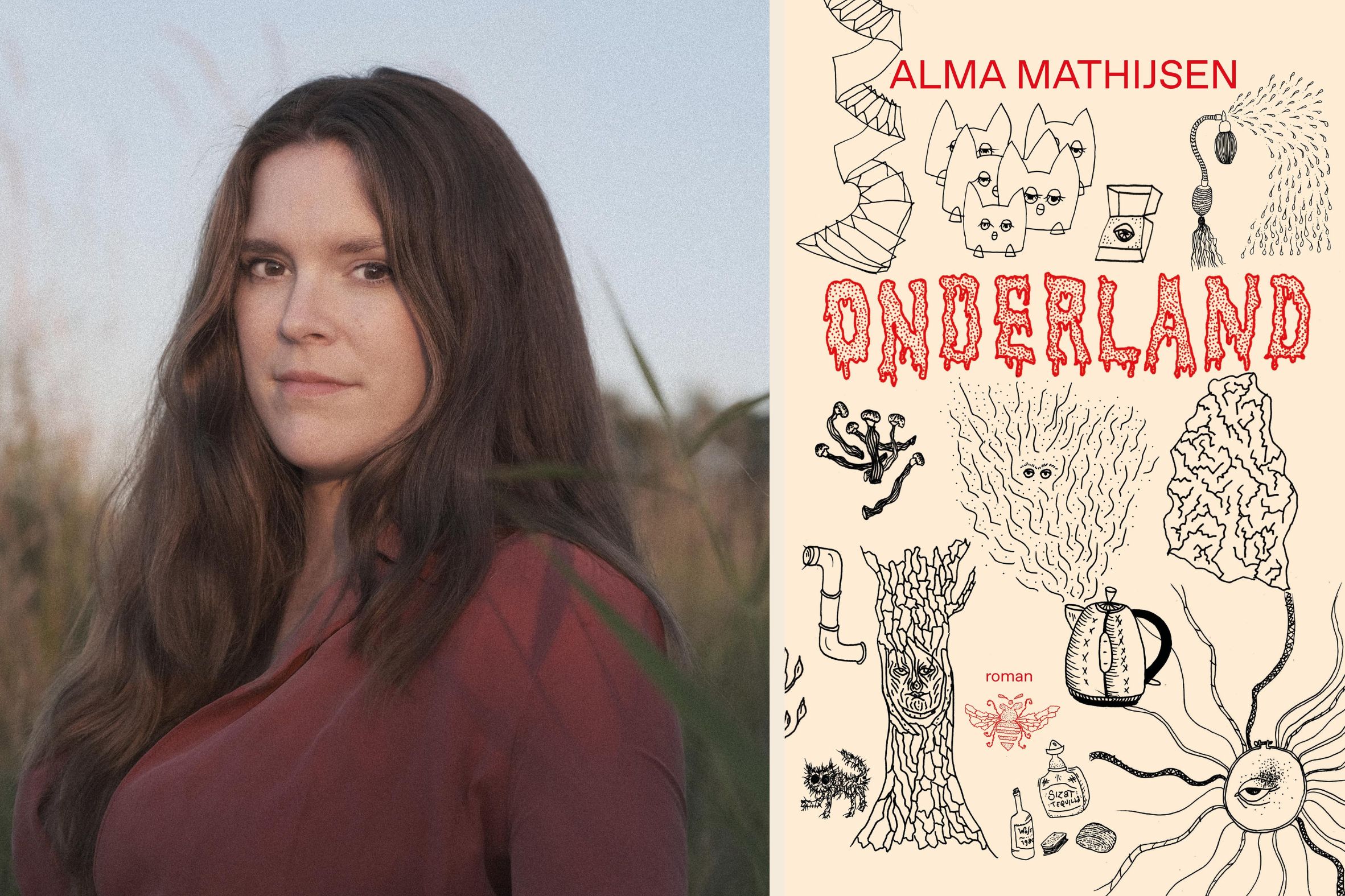 de lage landen Het mocht geen verhaal worden: ‘Onderland’ van Alma Mathijsen - de lage landen